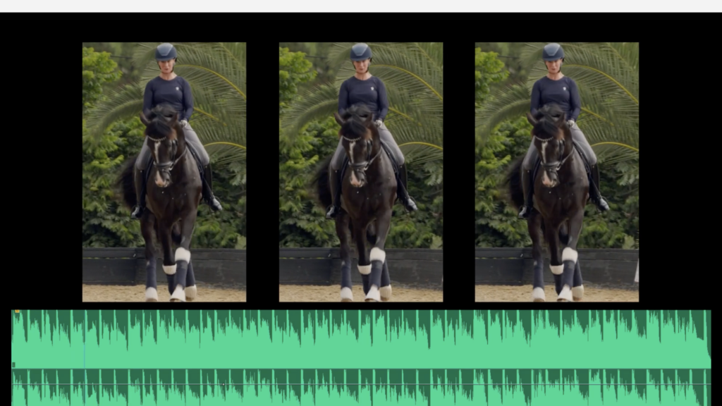 'Art of Dance' is streaming now! - Equus Magazine